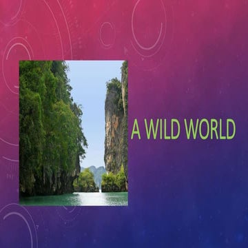 A wild world | PPT