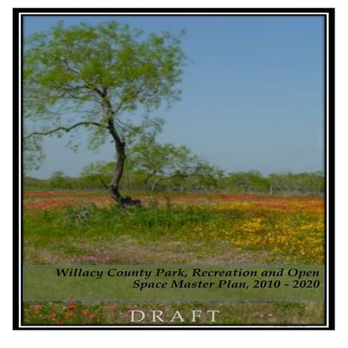 Willacy count master plan combined | PDF