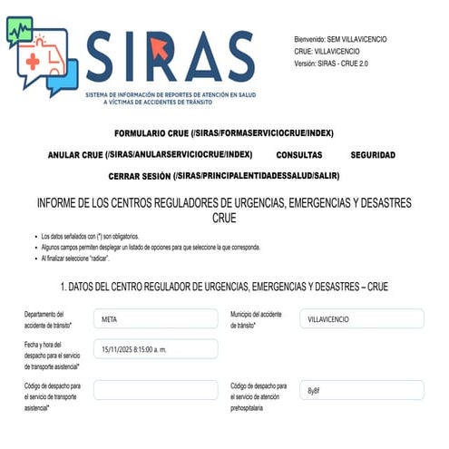 formato siras modelo 1234568774102mnjuhgv | PDF