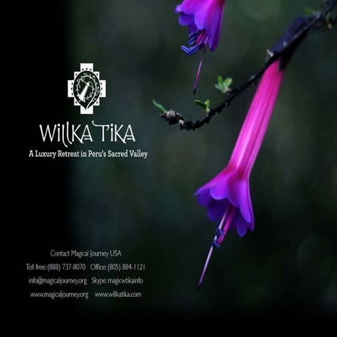 Willka t'ika promo presentation | PDF