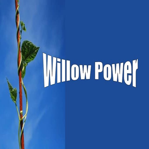 Willow Bio Energy | PPT