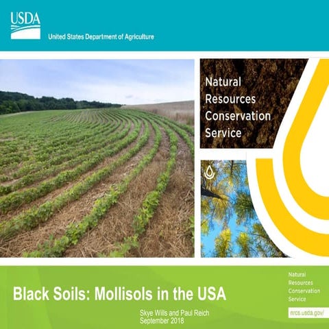Black Soils: Mollisoils in the USA - Skye Wills and Paul Reich | PDF