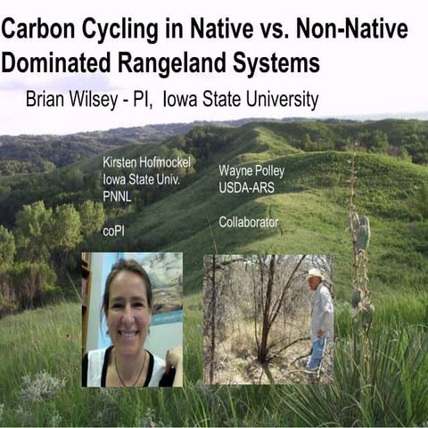 Carbon Cycling in Native vs. Non-Native Dominated Rangeland Systems | PPT
