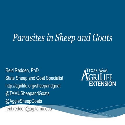 Parasites in Sheep and Goats by R. Reid Redden, PhD | PDF