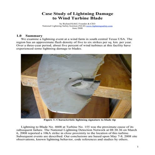 Wind Blade Damage1 | PDF