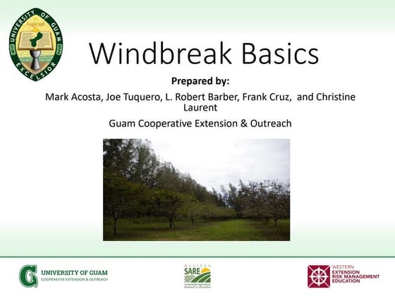 Shelterbelts and windbreaks | PPTX | Gardening | Home & Garden