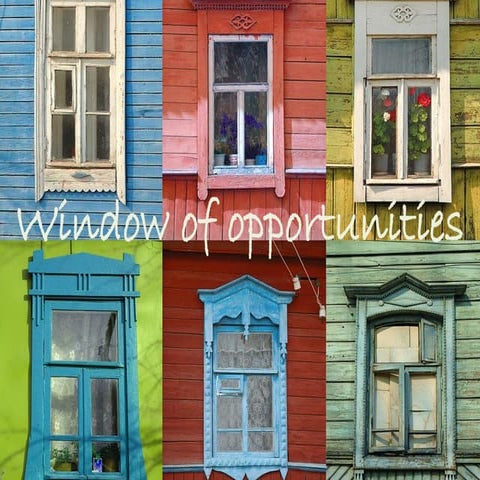 Window of opportunities | PDF