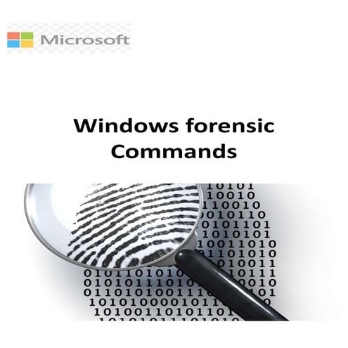 Windows Forensic Commandos ejecutables par la obtención de datos | PDF