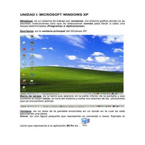 Windows xp | PDF