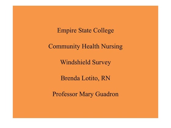 Windshield survey | PPT