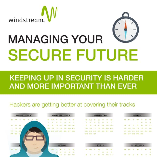 Windstream Managed Network Security Infographic | PDF