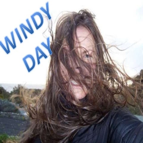 Windy day | PPT