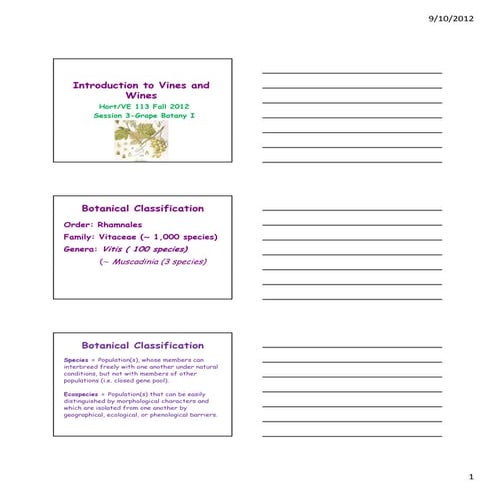 Wine lect3 | PDF | Free Download