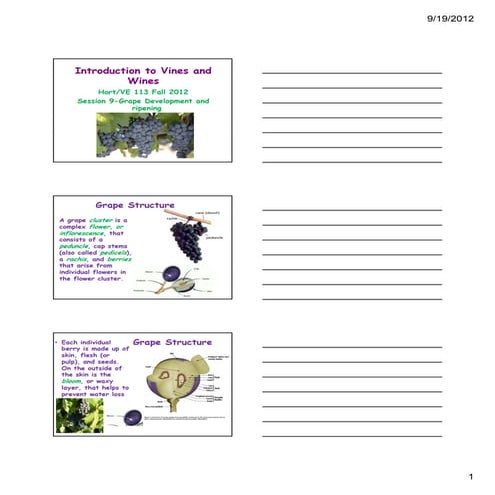 Lab report osmosis in grapes | PDF