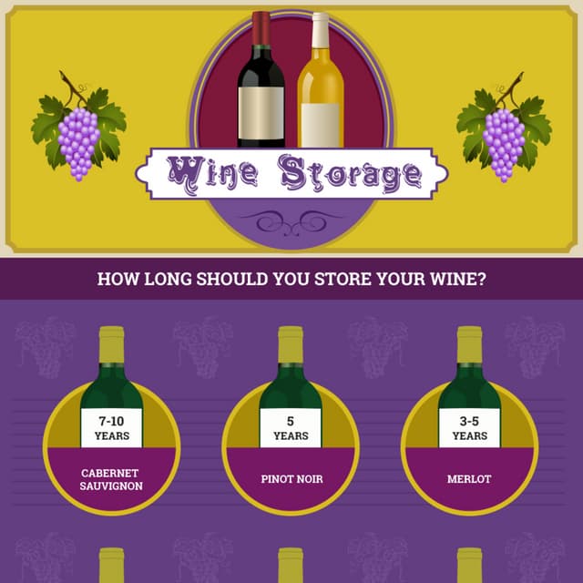 Wine storage-infographic | PDF