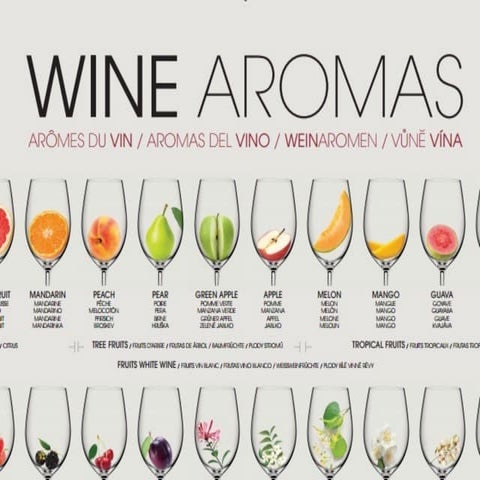 Wine Aromas | PPT
