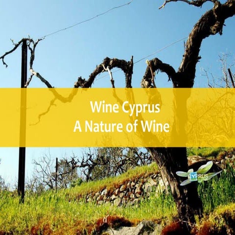 Cyprus Wine Project | PPT