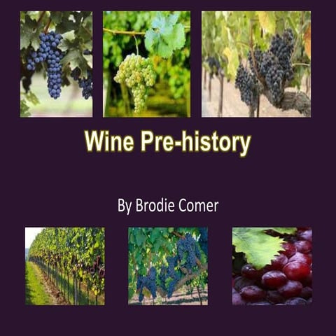 Wine Pre History | PPTX