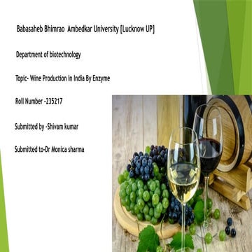 Wine Production In India BY Enzyme.pptx power point | PPTX