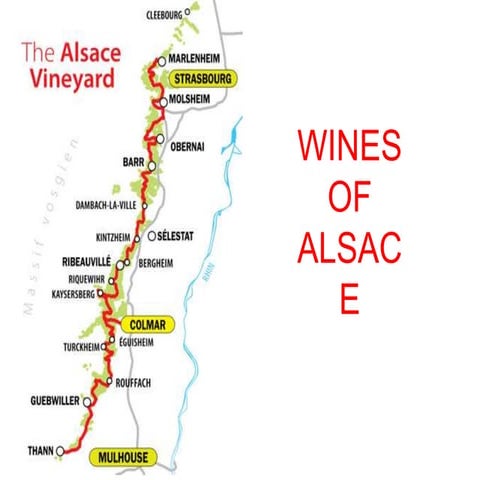 Wines Alsace.ppt