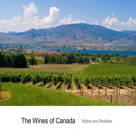 Understanding the wines of Canada | PPTX
