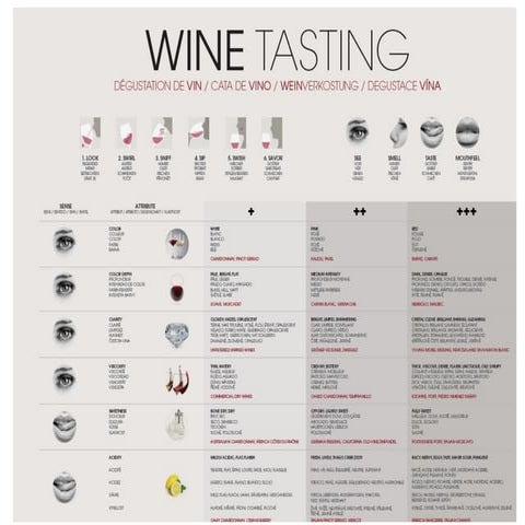 Wine Tasting Poster - Use your senses to evaluate different wine ...