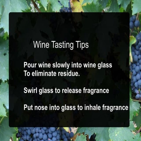 Wine Tasting Tips | PPT
