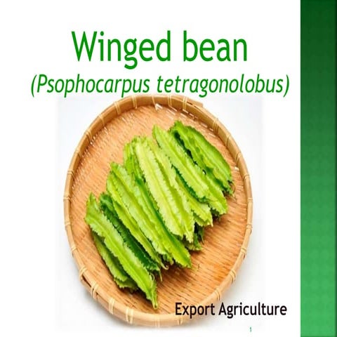 Wing bean | PPTX