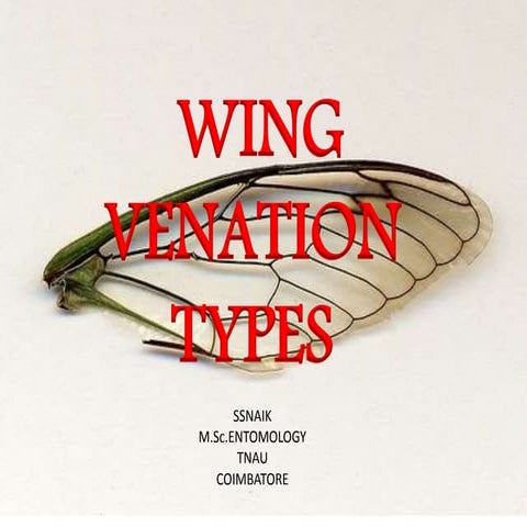 Insect wing, their modifications and wing coupling mechanism | PPTX