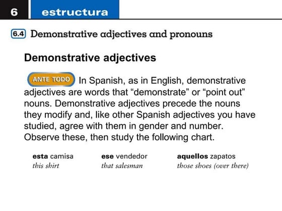 Demonstrative adjectives | PDF