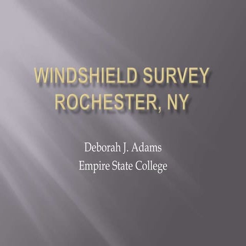 Windshield survey | PPT