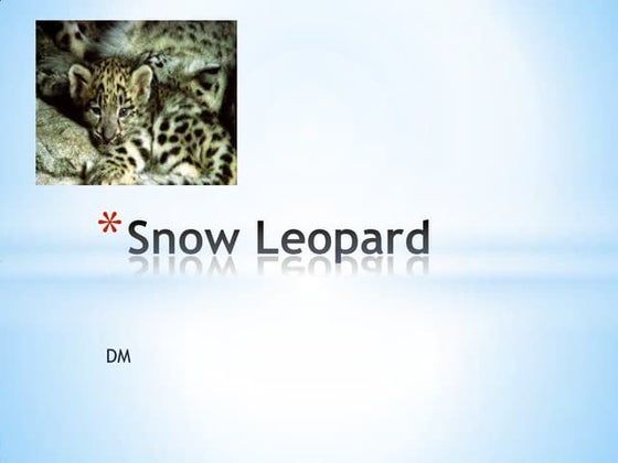 Hartman snow leopard | PPTX | Cats | Pets