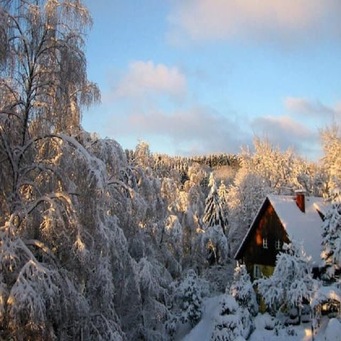 Winter Beelden | PPS