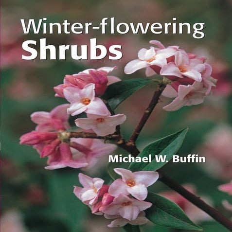Winter flowering shrubs | PDF