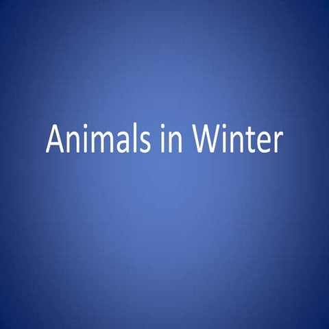 Winter animals | PPTX | Dogs | Pets