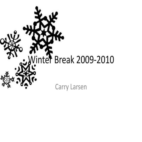 What I Did Over Winterbreak | PPTX