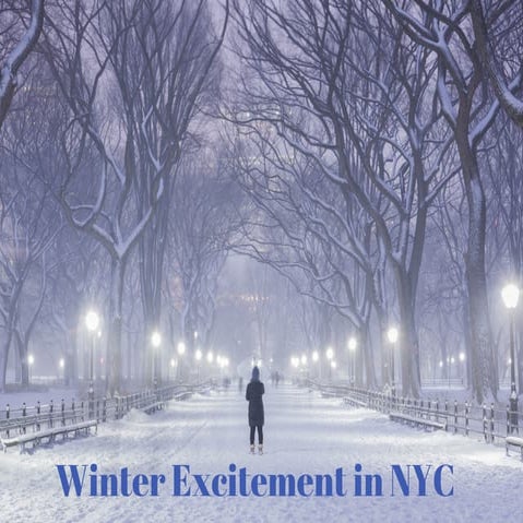 Winter Excitement In NYC | PDF | Bars & Restaurants | Attractions