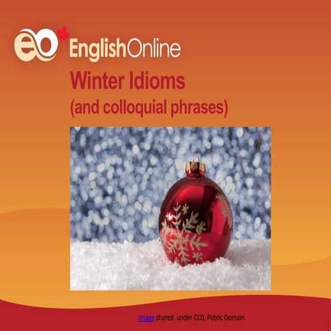Winter idioms and colloquial terms | PPTX