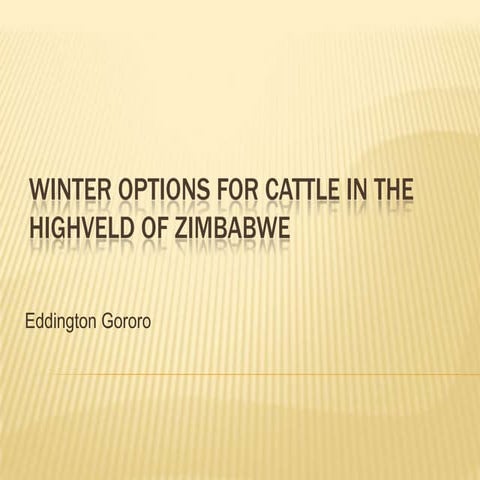 Winter Options for Cattle in Highveld of Zimbabwe | PPTX