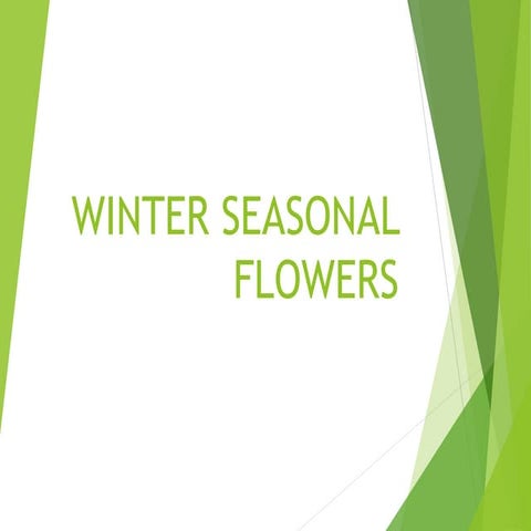 WINTER SEASON FLORICULTURE IN AGRICULTURE | PPT