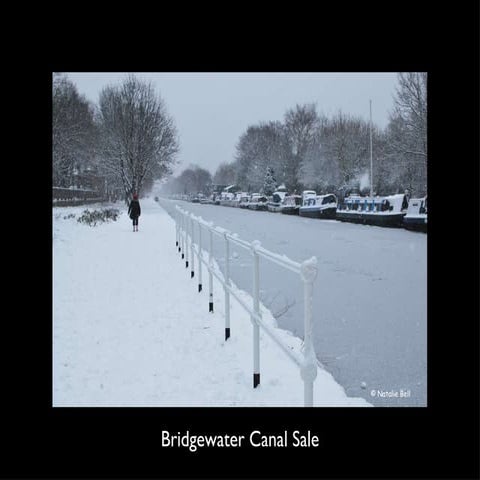 Winter snow 2010 | PPT