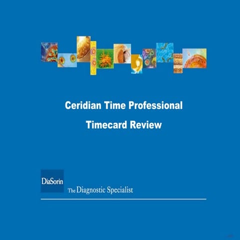 Otl Oracle Time and Labor | PDF