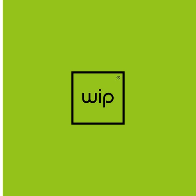 Wip by Nazareno Gabrielli | PDF