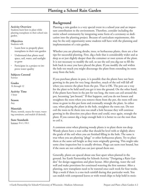 TRANSPLANTING OF VEGETABLE SEEDLINGS.pptx