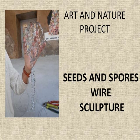 Art and Nature Project. Seeds and spores. Wire sculpture | PPT