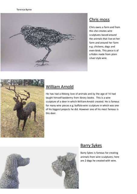 Wire Sculpture Artist | PPT