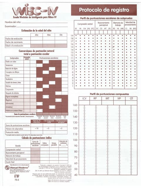 Protocolo wisc iv | PDF