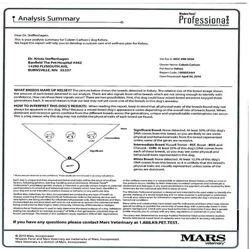 Wisdom Panel For Kelsey | PDF