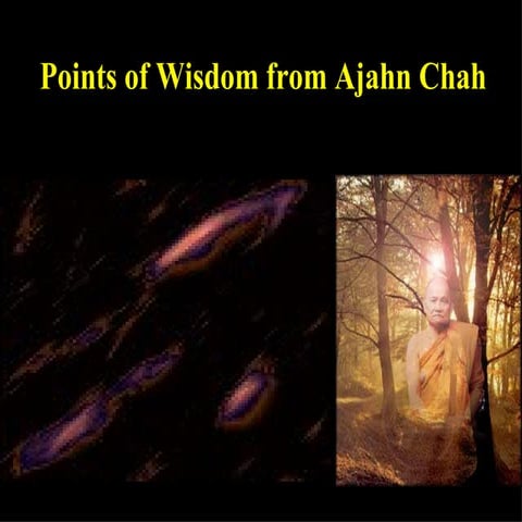 Wisdom Points | PPS
