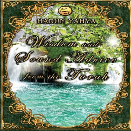 Wisdom from Torah | PDF